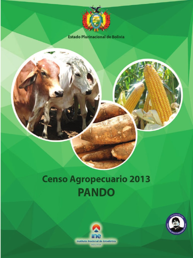 Censo Agropecuario Bolivia-Pando | PDF | Bolivia | Agricultura