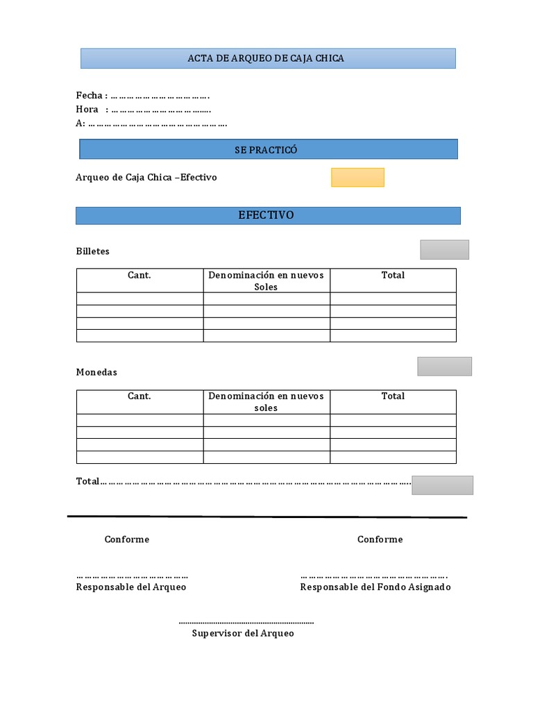 Acta de Arqueo de Caja Chica | PDF