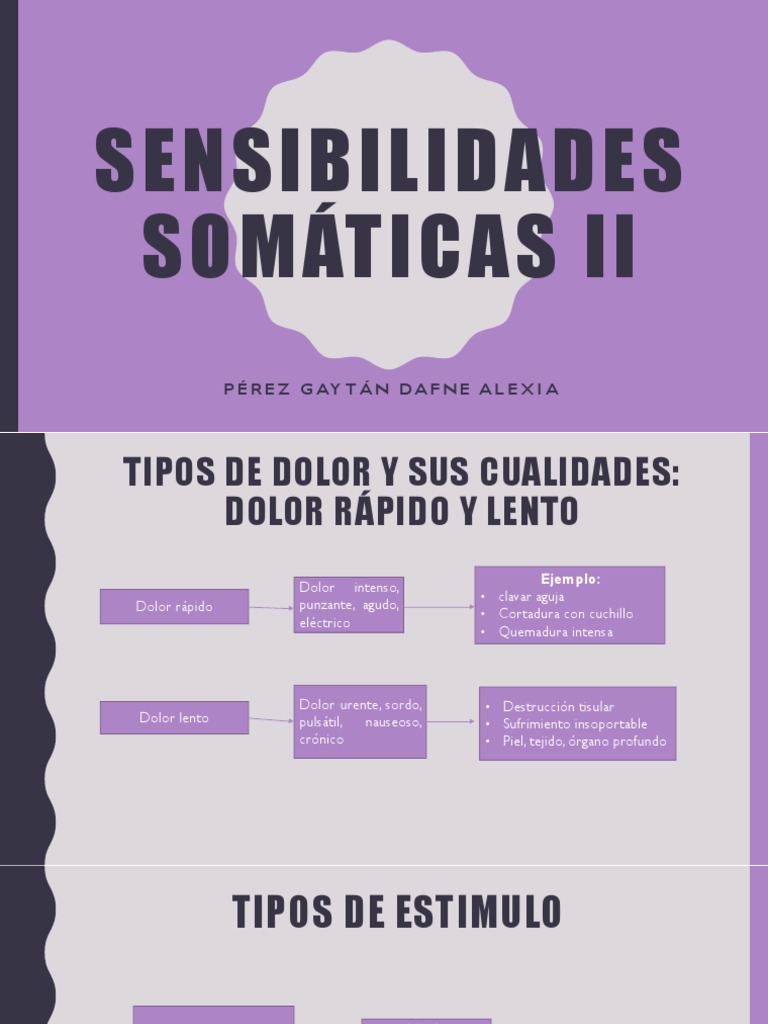 Sensibilidades Somáticas II Fisio | PDF | Neuroanatomía | Dolor