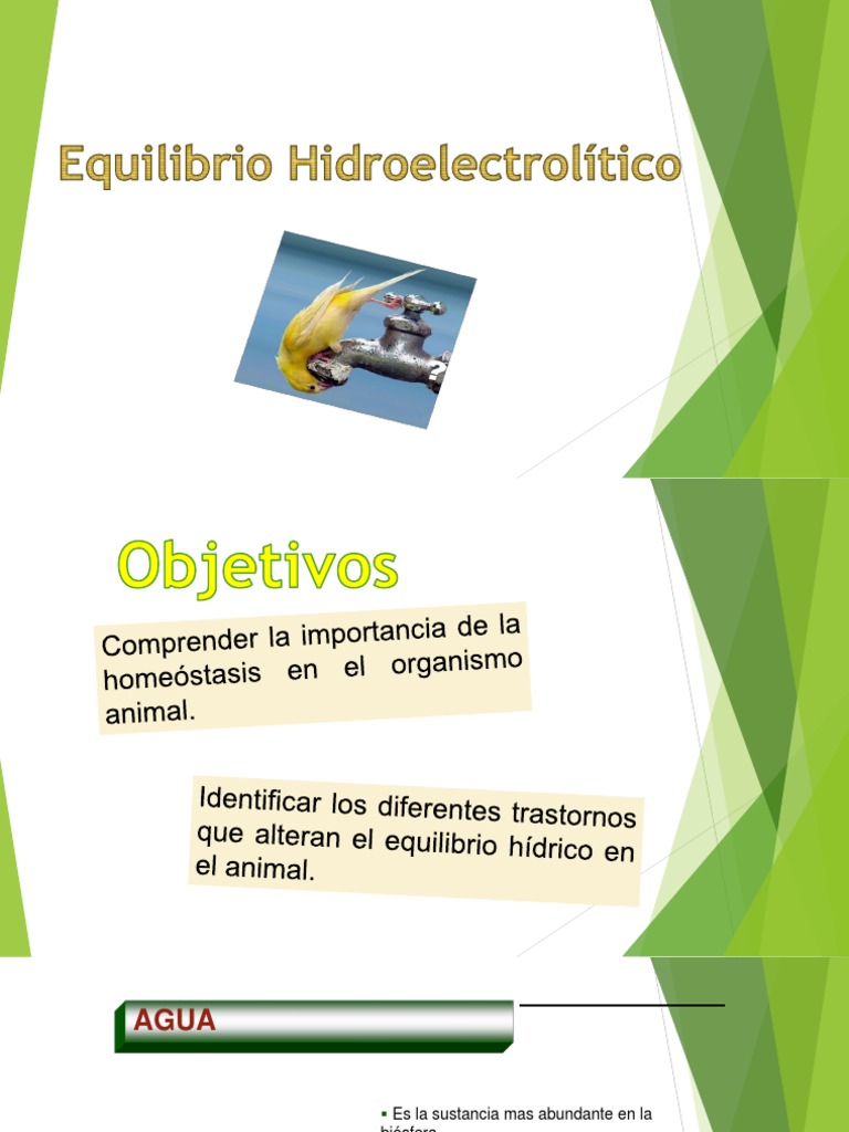 Equilibrio Electrolitico Acido Base | PDF | Electrólito | Ph