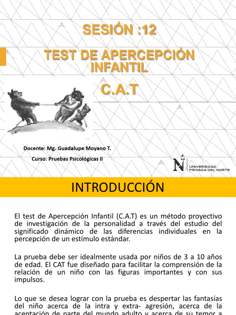 Análisis del Test de Apercepción Infantil (C.A.T.): Objetivos ...