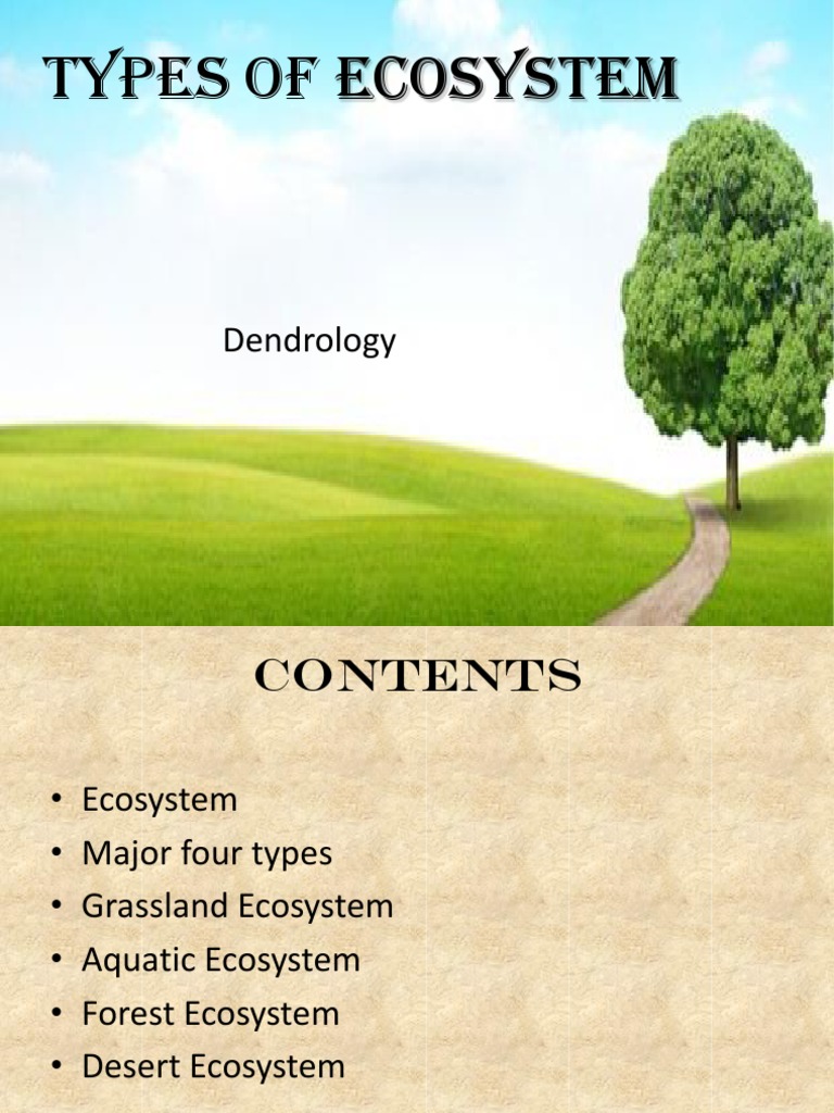 Major Types of Ecosystem V2 | PDF | Grassland | Desert