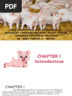 Project Proposal Swine Raising | PDF | Pig | Domestic Pig
