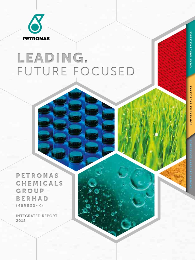 5183 PCHEM AnnualReport 2018-12-31 PCGB Integrated Report 2018 ...
