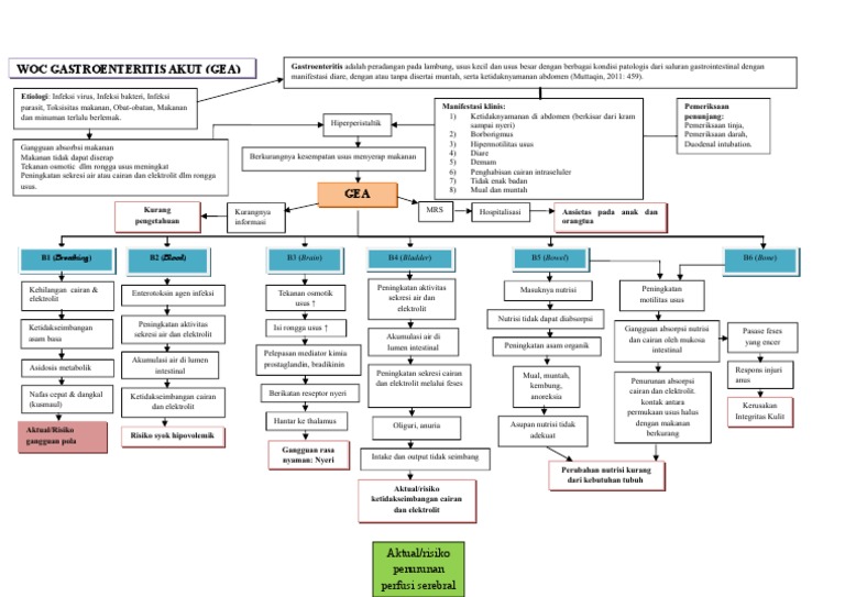 Woc Gastroenteritis Akut (Gea) : Aktual/risiko Penurunan Perfusi Serebral | PDF