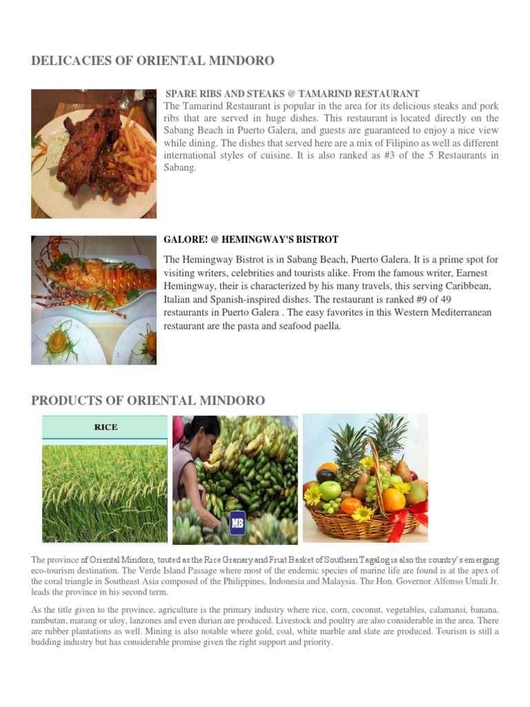Top Delicacies of Oriental Mindoro | PDF