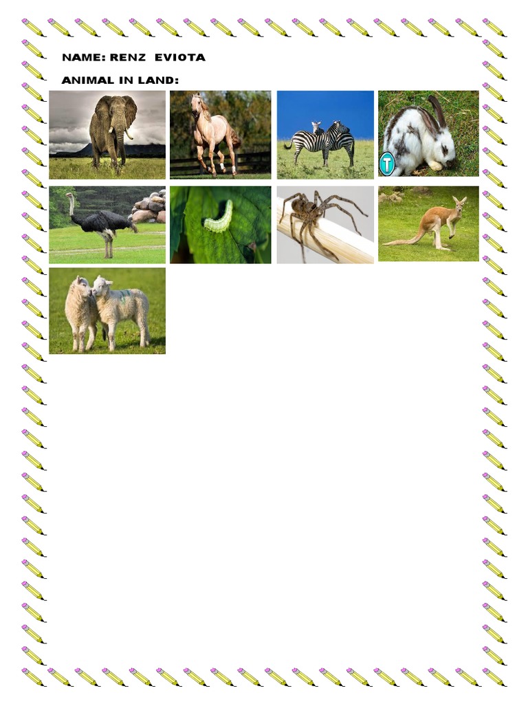 Name: Renz Eviota Animal in Land | PDF