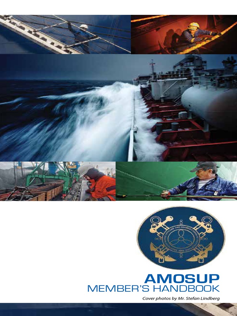 Amosup Handbook | PDF | Radiology | Identity Document