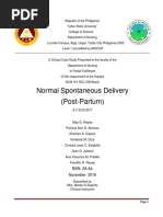NSVD Case Study Final | PDF | Childbirth | Pregnancy
