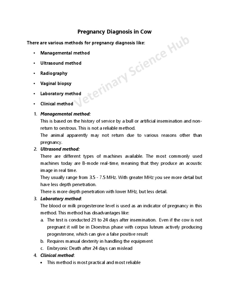 Accurate Pregnancy Diagnosis in Cows Through Rectal Palpation | PDF ...