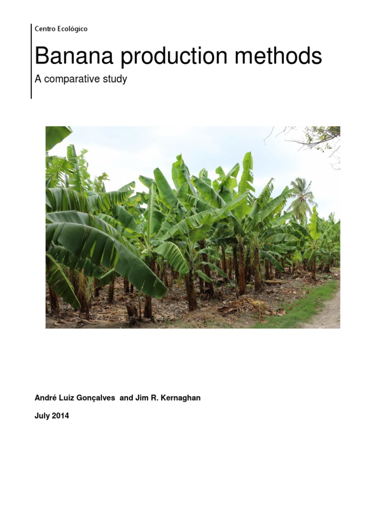 Banana Production Methods: A Comparative Study | PDF | Organic Farming ...
