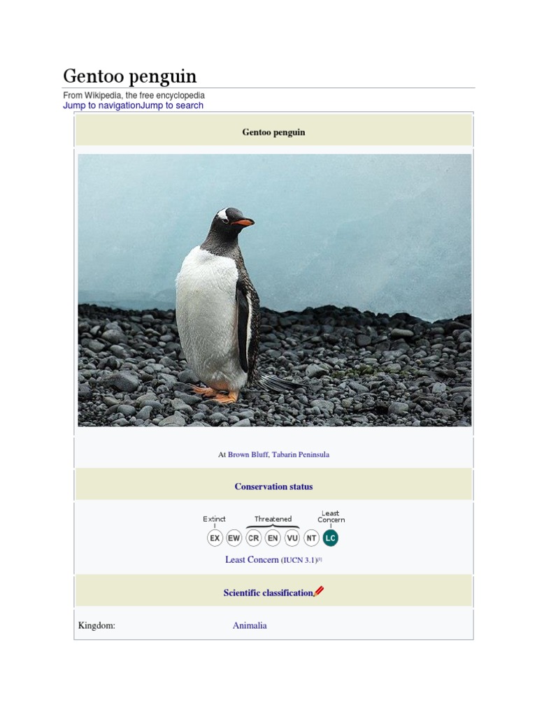 Gentoo Penguin: Jump To Navigationjump To Search | PDF | Seabird ...