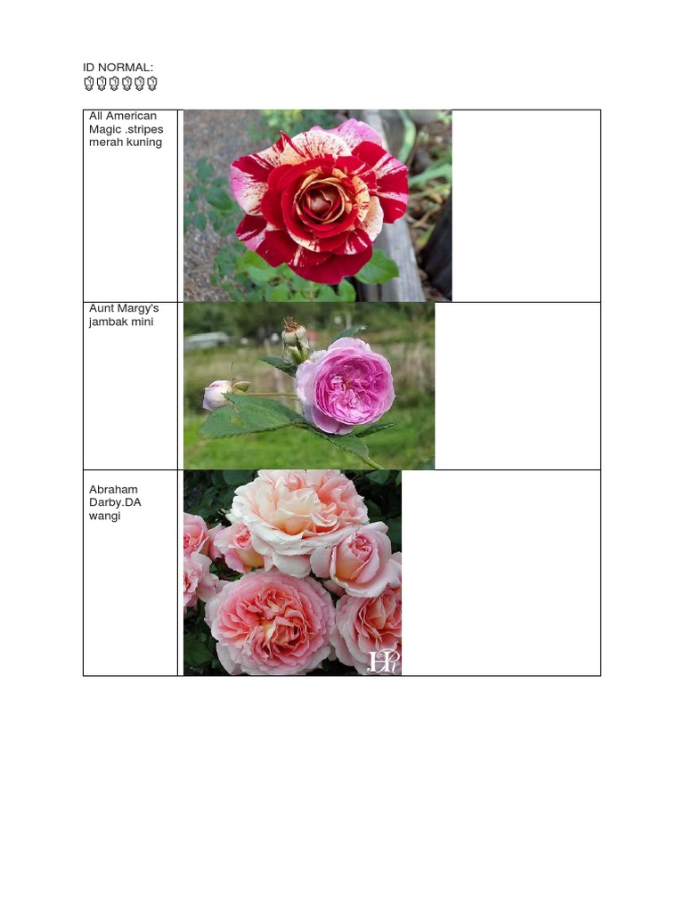 Senarai Nama Ros Dan Gambar | PDF