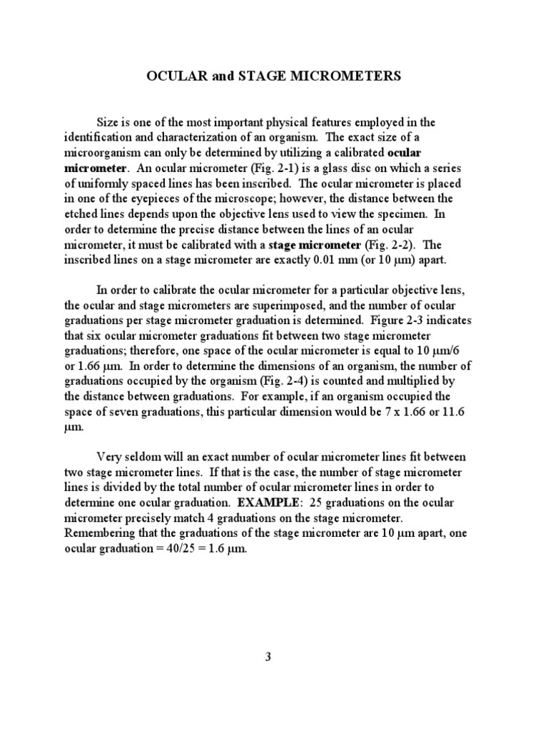 Labman Week2 | PDF | Staining | Gram Positive Bacteria