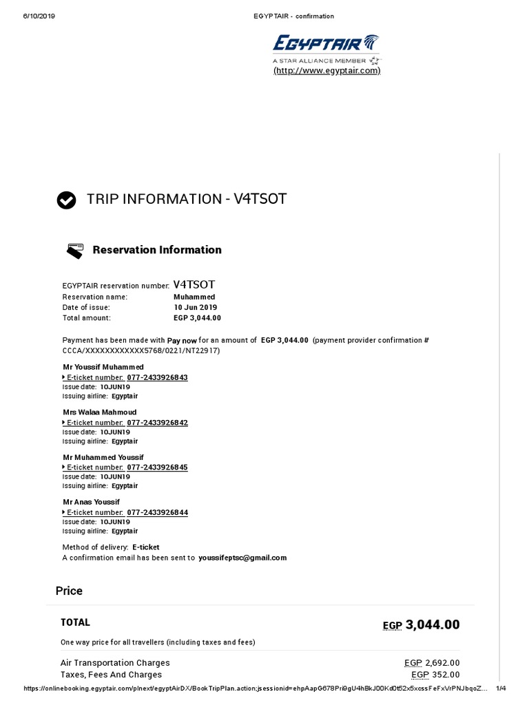 EGYPTAIR - Confirmation | PDF | Baggage | Dangerous Goods