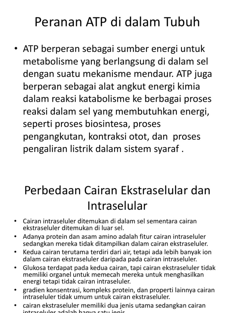 Peran ATP dan Hemostasis dalam Tubuh | PDF | Kesehatan Holistik | Sains ...