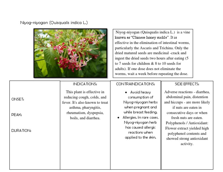 Niyog Niyogan Health Benefits