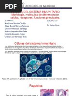 Polarización de Macrófagos M1 y M2 | PDF | Macrófago | Citocina