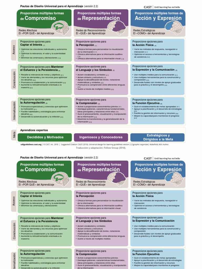 Pauta 2.2 DUA | PDF | Aprendizaje | Comunicación