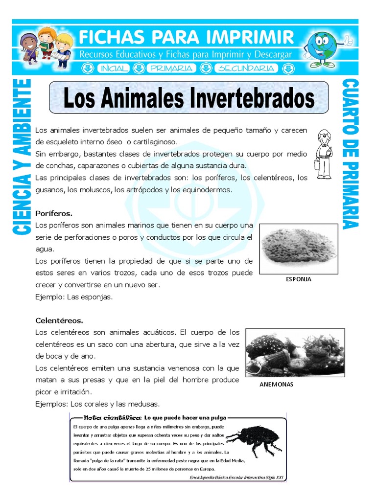24 Ficha Los Animales Invertebrados para Cuarto de Primaria | PDF ...