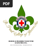 Red Cross Activities | PDF