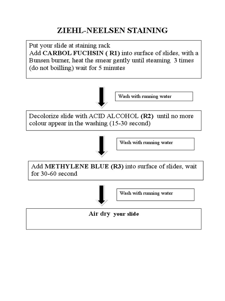 Ziehl-Neelsen Stain Flowchart | PDF