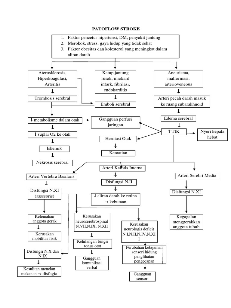 Patoflow Stroke | PDF