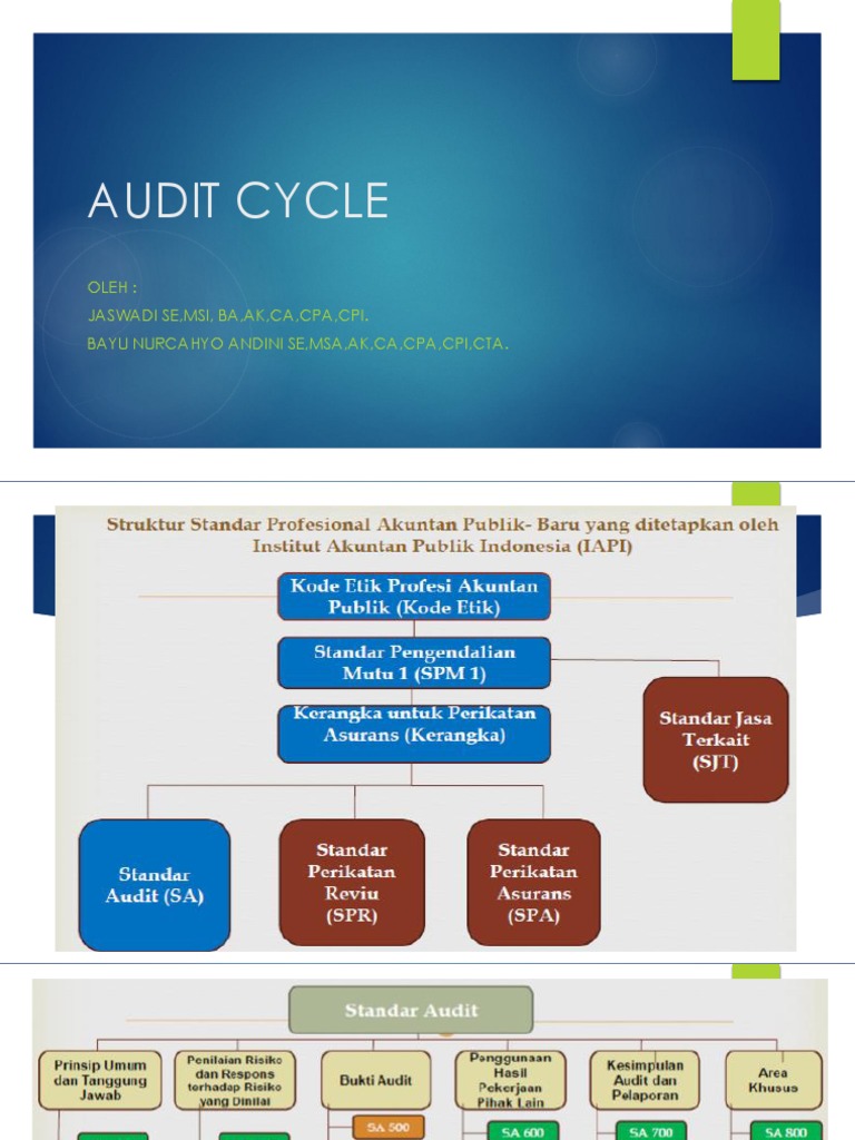 Audit Cycle | PDF