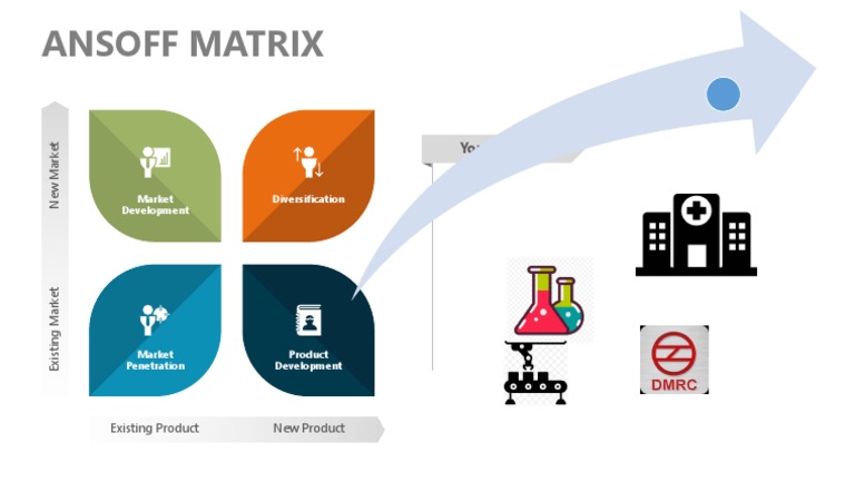 Ansoff Matrix Template For 1 | PDF