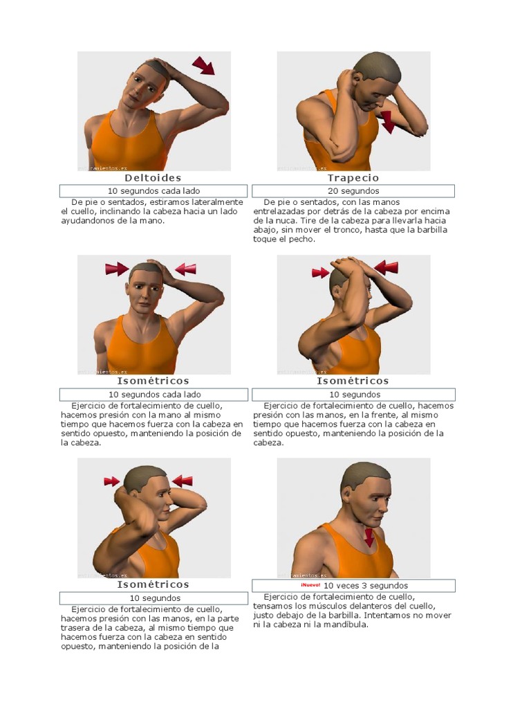 Ejercicios Isométricos para Cervicalgia | PDF