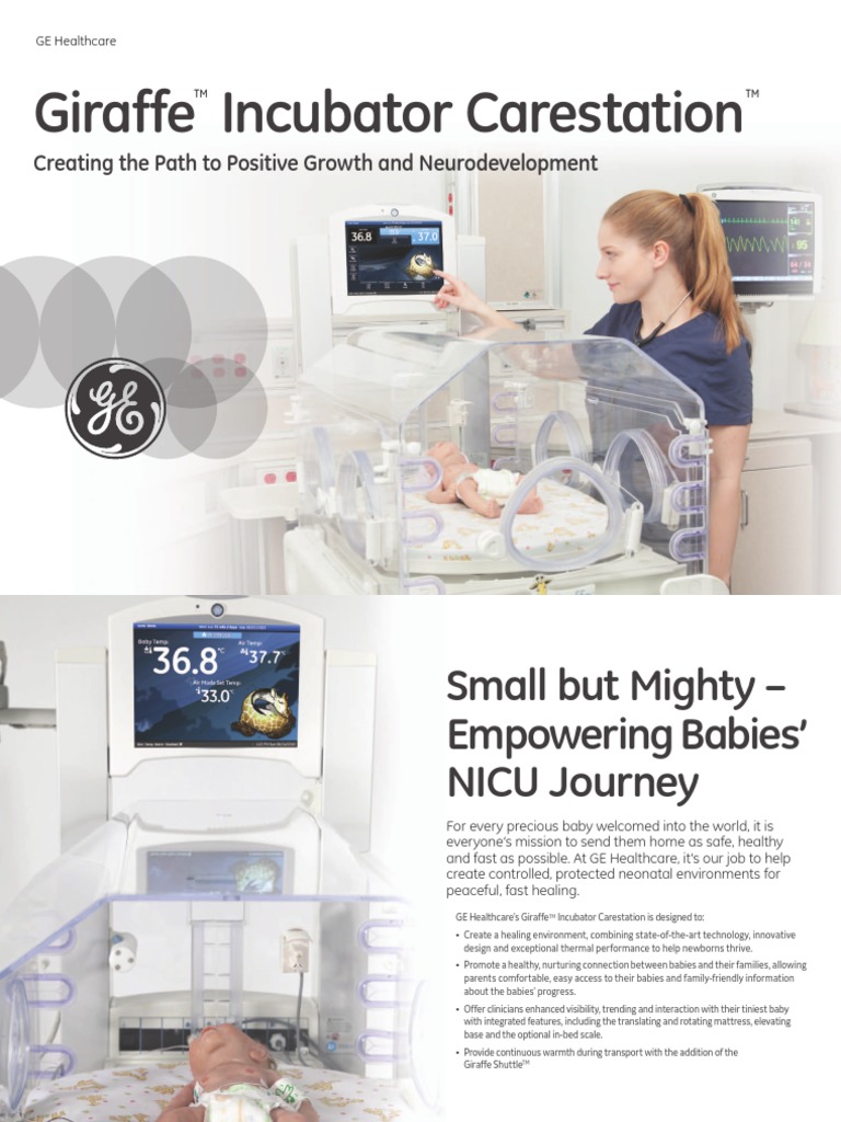 Giraffe PDF | PDF | Relative Humidity | Neonatal Intensive Care Unit