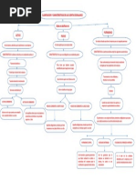 Mapa Mental Cuentas Contables | PDF | Contabilidad | Hoja de balance