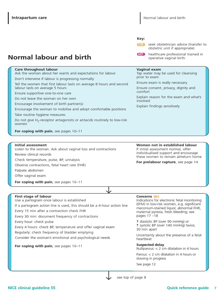 Care Pathway: Normal Labour and Birth | Download Free PDF | Childbirth ...