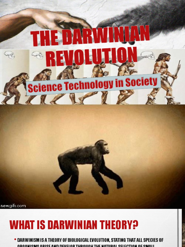 The Darwinian Revolution Explained | PDF | Natural Selection | Charles ...