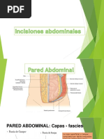 Incisión Rocky Davis | PDF | Medicina CLINICA | Anatomía