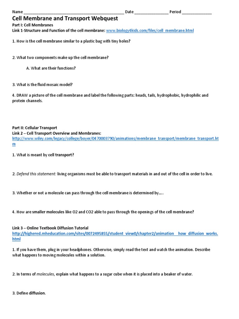 On Level Cell Transport Webquest 1 | PDF | Cell Membrane | Osmosis