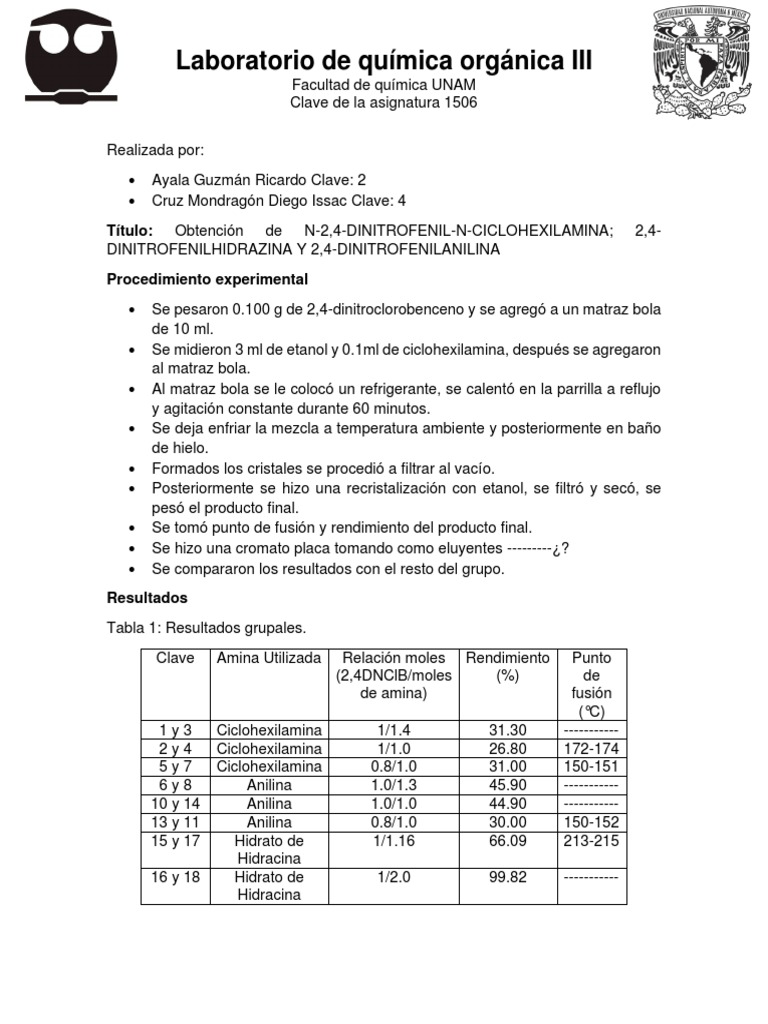 Obtención de n 2,4 Dinitrofenil n Ciclohexilamina; 2,4 ...