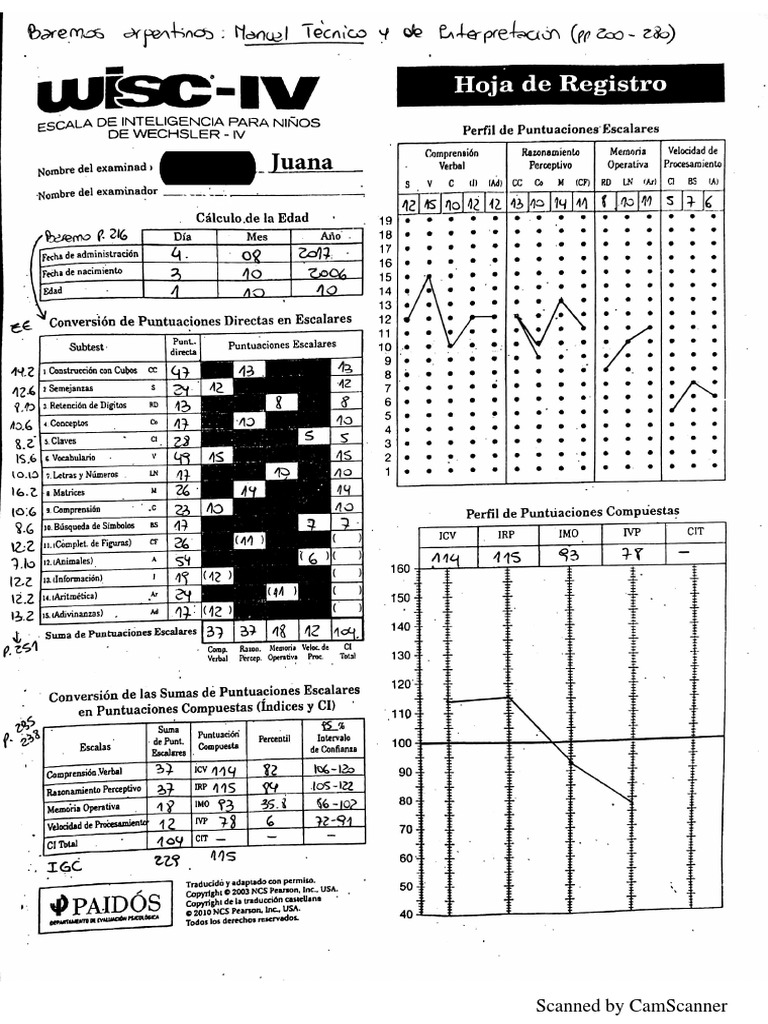 Ejercicios Wisc IV - Protocolo Solución PDF | PDF