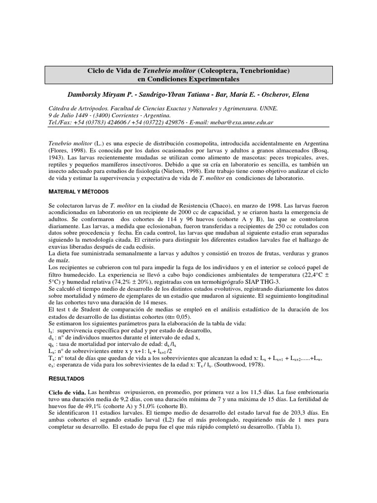Ciclo de Vida de Tenebrio molitor | PDF | Science | Naturaleza