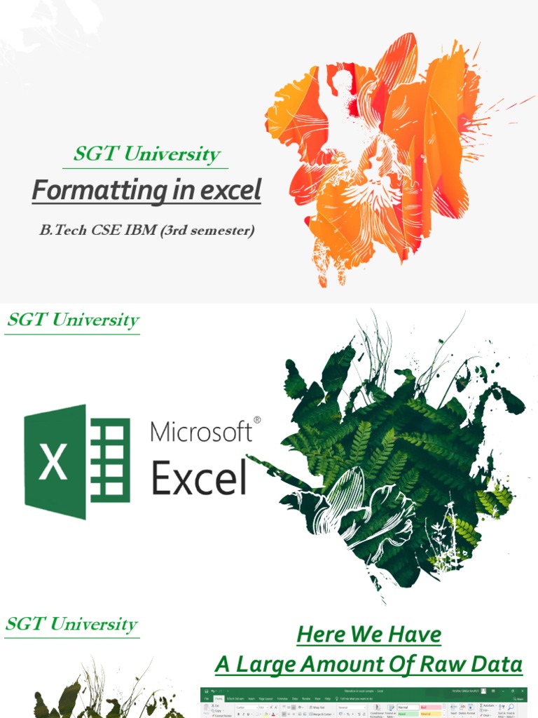 Formatting in Excel | PDF | Data | Computing