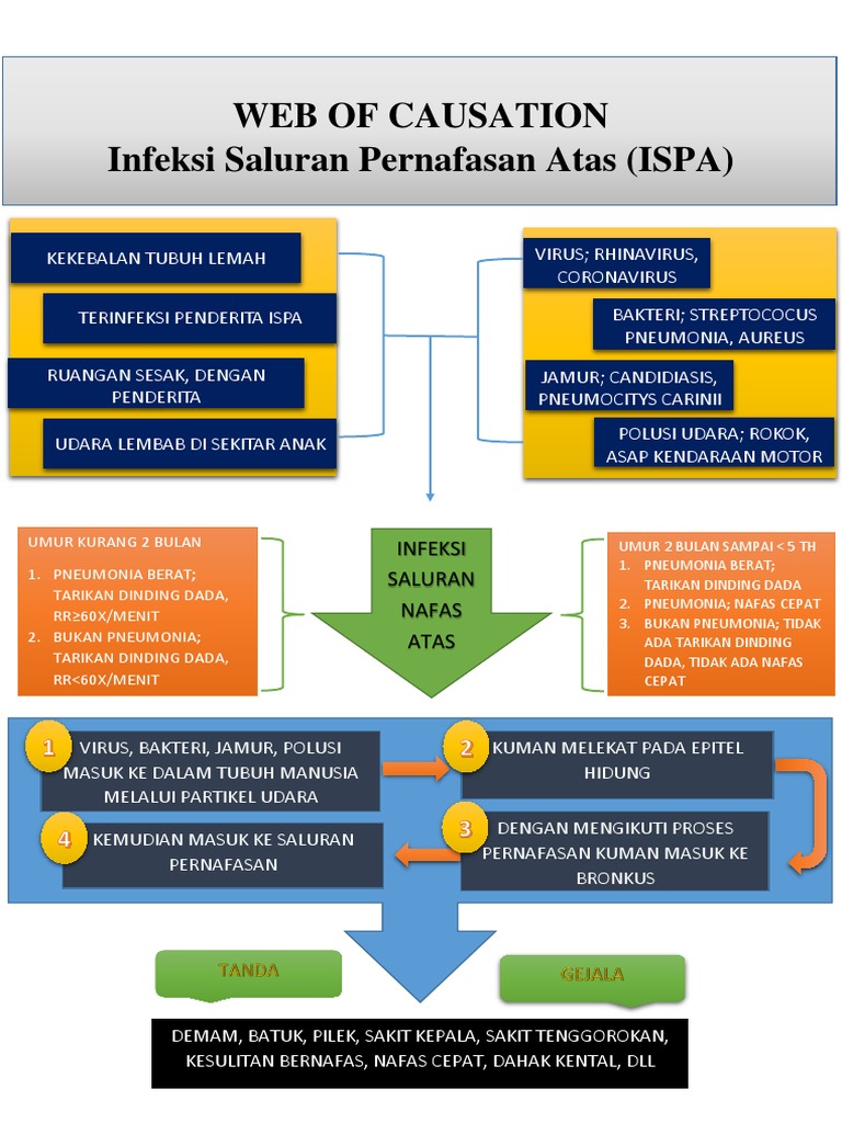 Web of Causation | PDF | Sains & Matematika