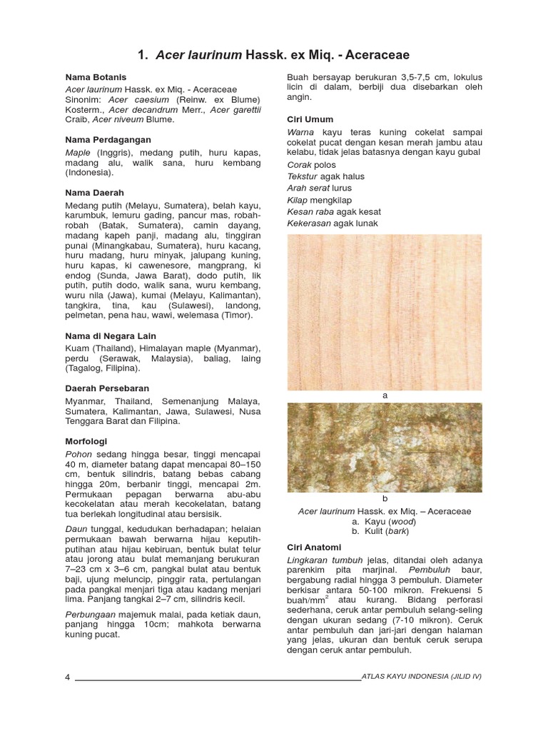 Atlas Kayu Indonesia Jilid IV-Risalah1 PDF | PDF