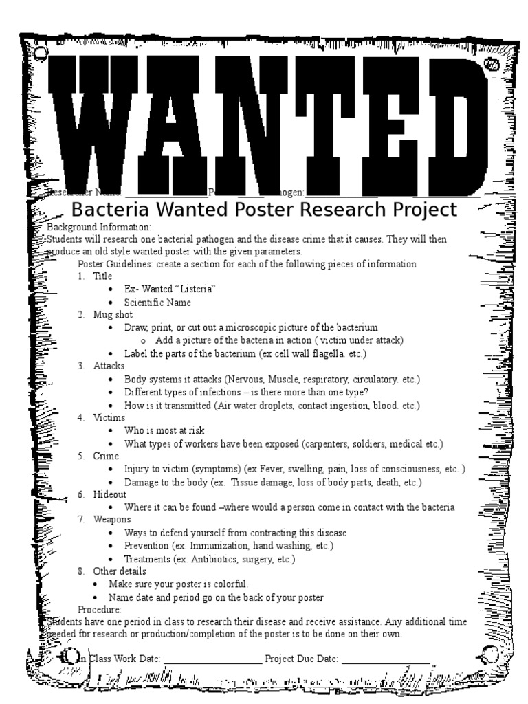 Bacteria Wanted Poster | PDF | Foodborne Illness | Infection