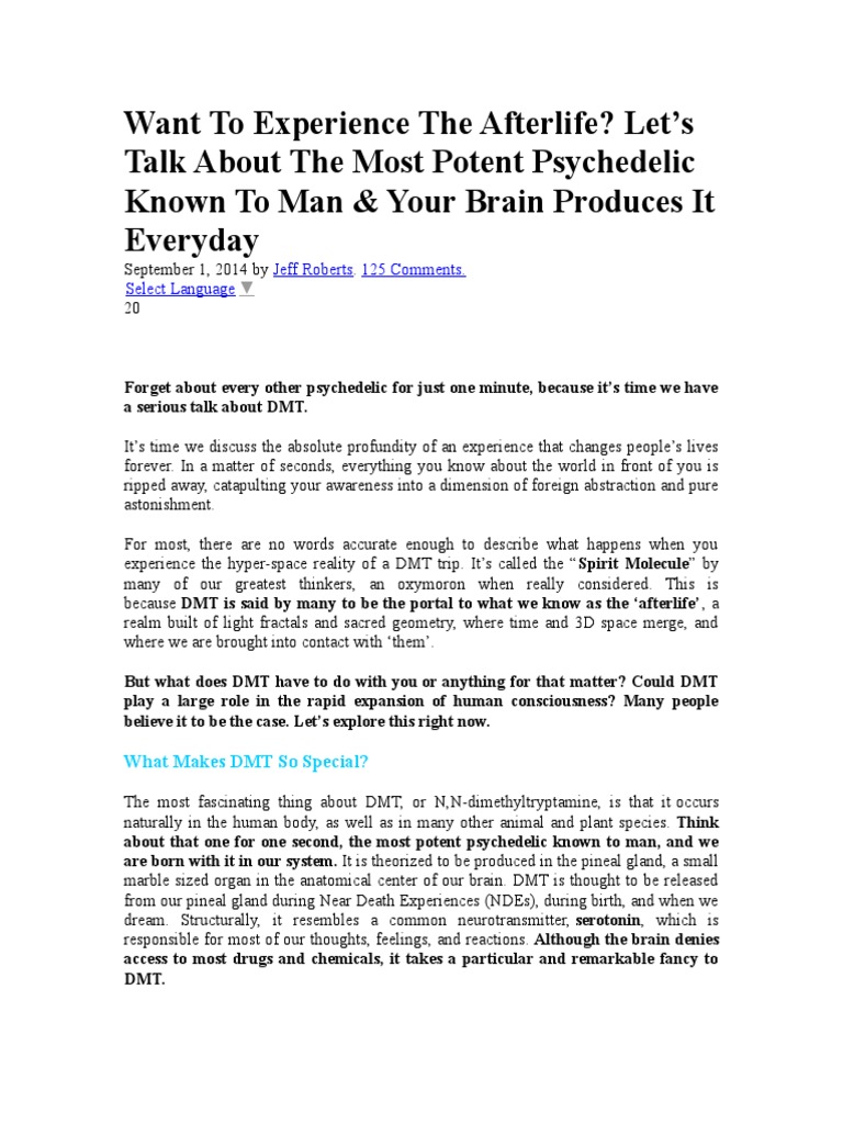 Want To Experience The Afterlife | PDF | Psychedelic Drugs | Theory