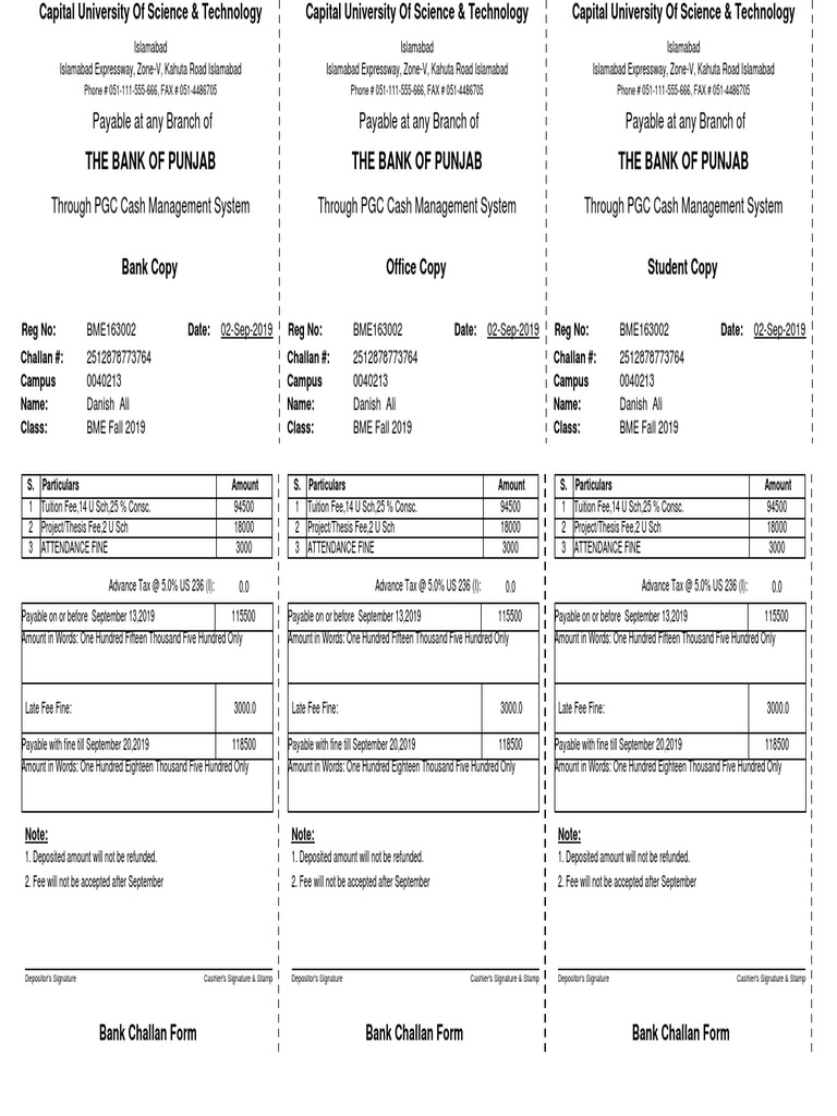 The Bank of Punjab The Bank of Punjab The Bank of Punjab | PDF ...