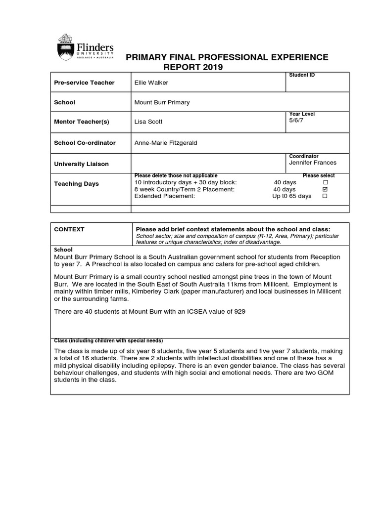 Primary Final Report - 2019-1 Ellie 1 | PDF | Educational Assessment ...