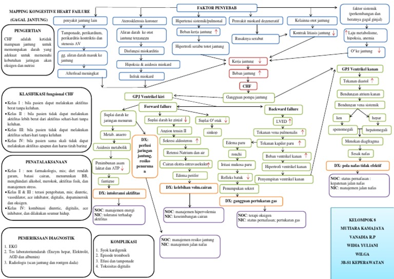 Mapping CHF Kongestive Heart Failure | PDF