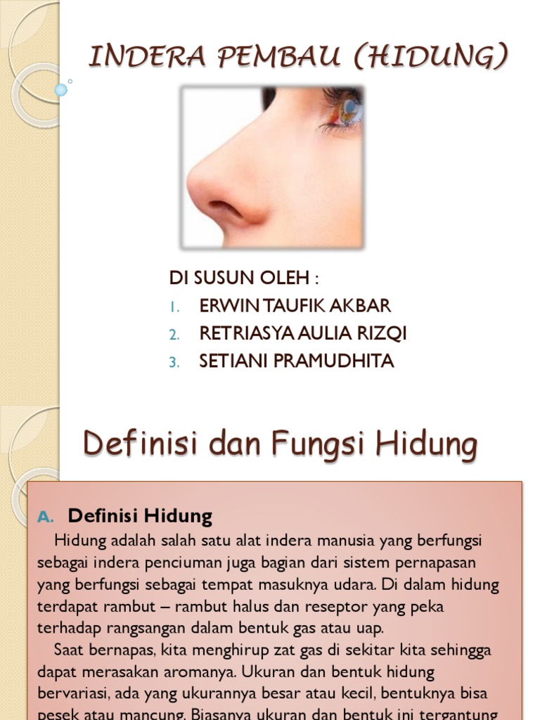 Indra Pembau | PDF