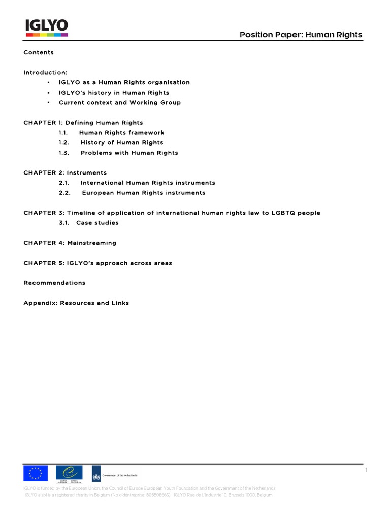 IGLYO Human Rights Position Paper | PDF | European Convention On Human ...