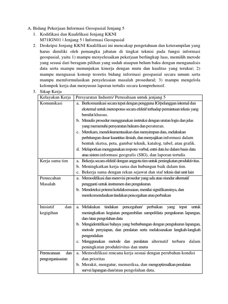 Contoh SKKNI | PDF